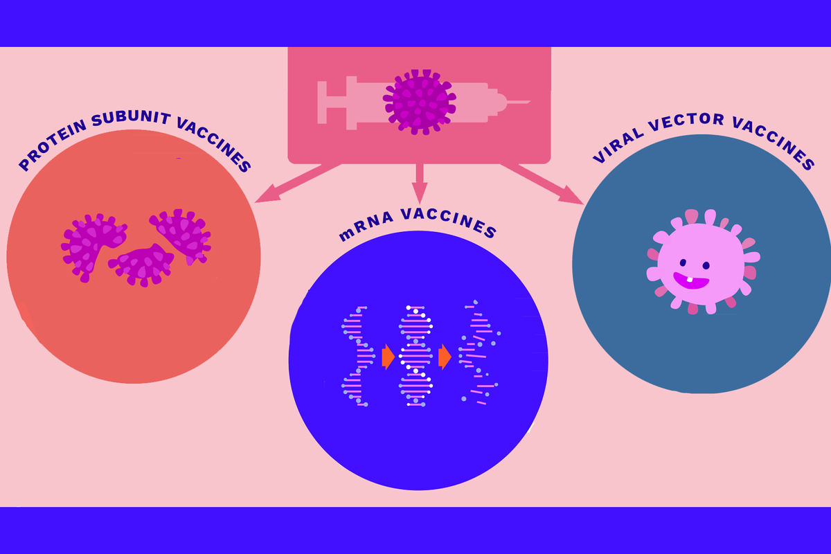Understanding the Different Types of Covid-19 Vaccines - HealthyWomen Understanding the Different Types of Covid-19 Vaccines - HealthyWomen